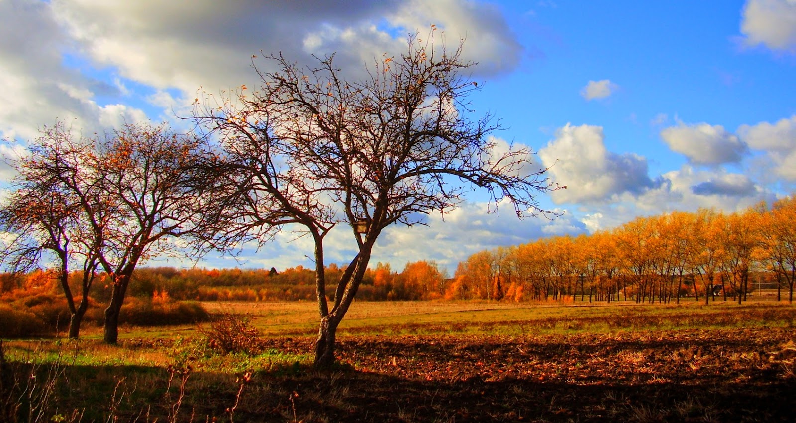 Pasaulis per objektyvą: Auksinis ruduo...